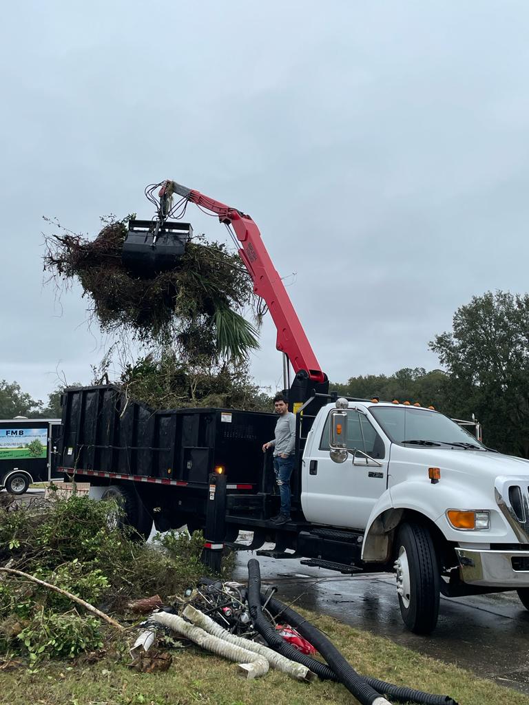 Home - Gatorland Tree Service